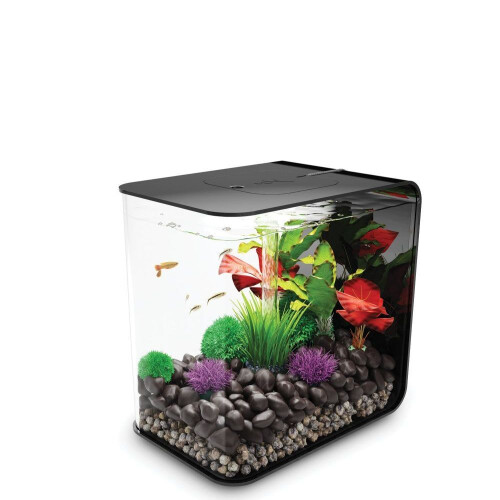 biOrb Flow Aquarium, 30 Litre, Black, LED Light on OnBuy