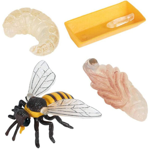 Pack of 4 Insect Figurines Life of Realistic Insects Figures Toys ...