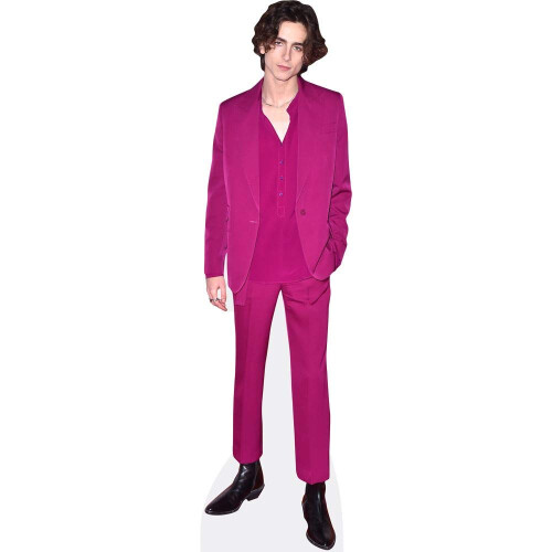 Timoth e Chalamet (Costume violet) D coupe grandeur nature on OnBuy