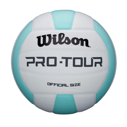 Wilson Pro Tour Indoor Volleyball - Official Size Teal/White on OnBuy