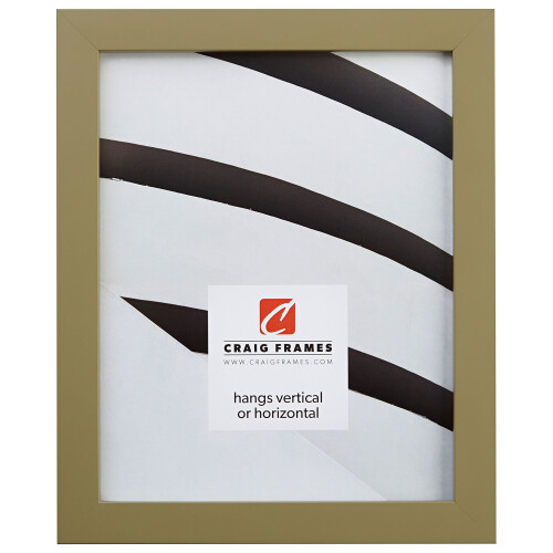Craig Frames Confetti Modern Olive Green Picture Frame 20 x 24 Inch on ...