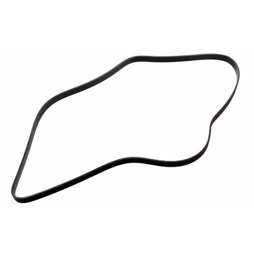 ACDELCO GM EQUIPAMENTO ORIGINAL 55578811 VINHA SERPENTINA VERPENTINA ...