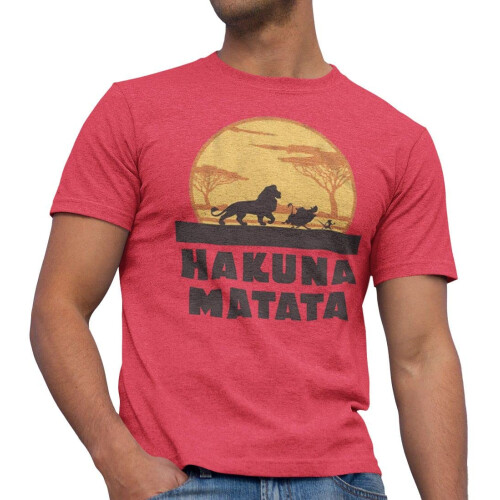 Disney K nig der L wen Hakuna Matata Pumbaa Timon Afrika Simba Mufasa Disney on OnBuy