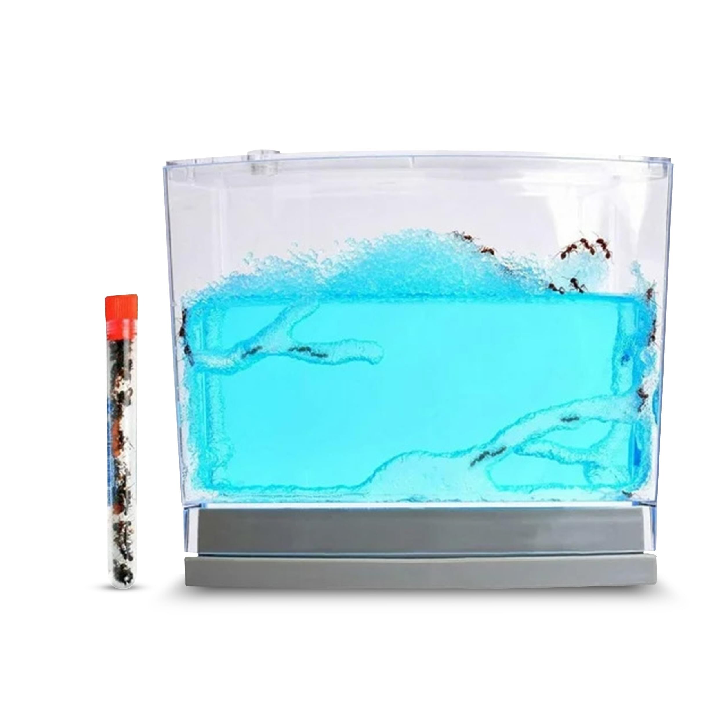 Ant Habitat Kit with Free Certificate for 25 Ants - Educational Ant ...