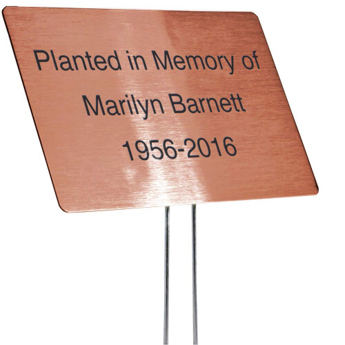 Outdoor Metal Garden Sign Label or Memorial 4 x 2 or 6 x 4 sign with ...