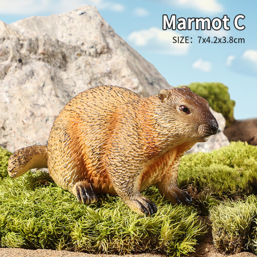 (Marmot C) Wild Animals Simulation Rodent Marmot Capybara Model Action ...