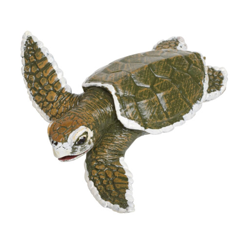 Safari Ltd. Kemp's Ridley Sea Turtle Baby Figurine - Lifelike 5"" Model ...
