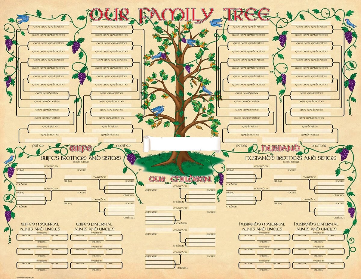 Historic Families Family Tree Geneology Chart Poster (2-Pack) Study Ro on OnBuy