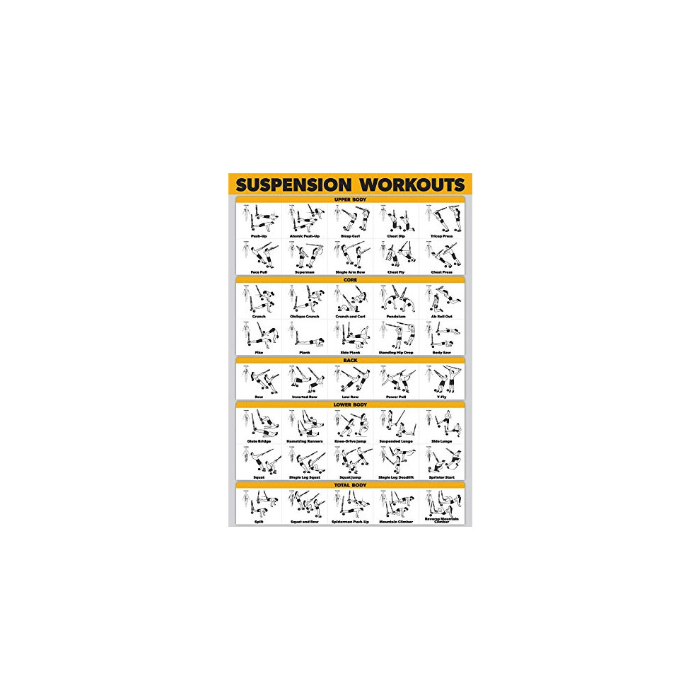 QuickFit Suspension Workout Exercise Poster - (Laminated 18"" x 27 ...