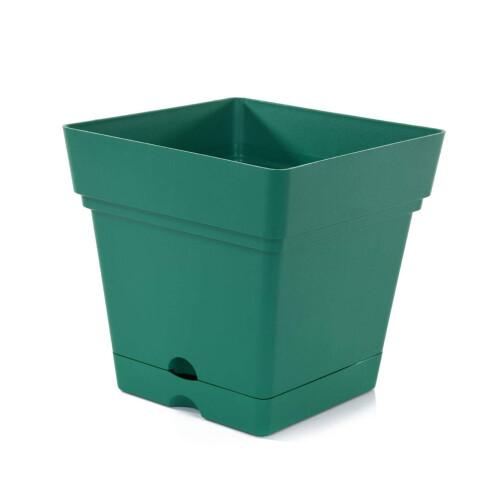 Ghealele de plastic Mintra pentru plante Plantator patrat pentru plante ...