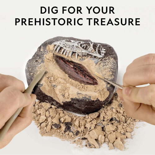 NATIONAL GEOGRAPHIC Dino Fossil Grävset & Dinosauriebok för Barn - Gräv ...