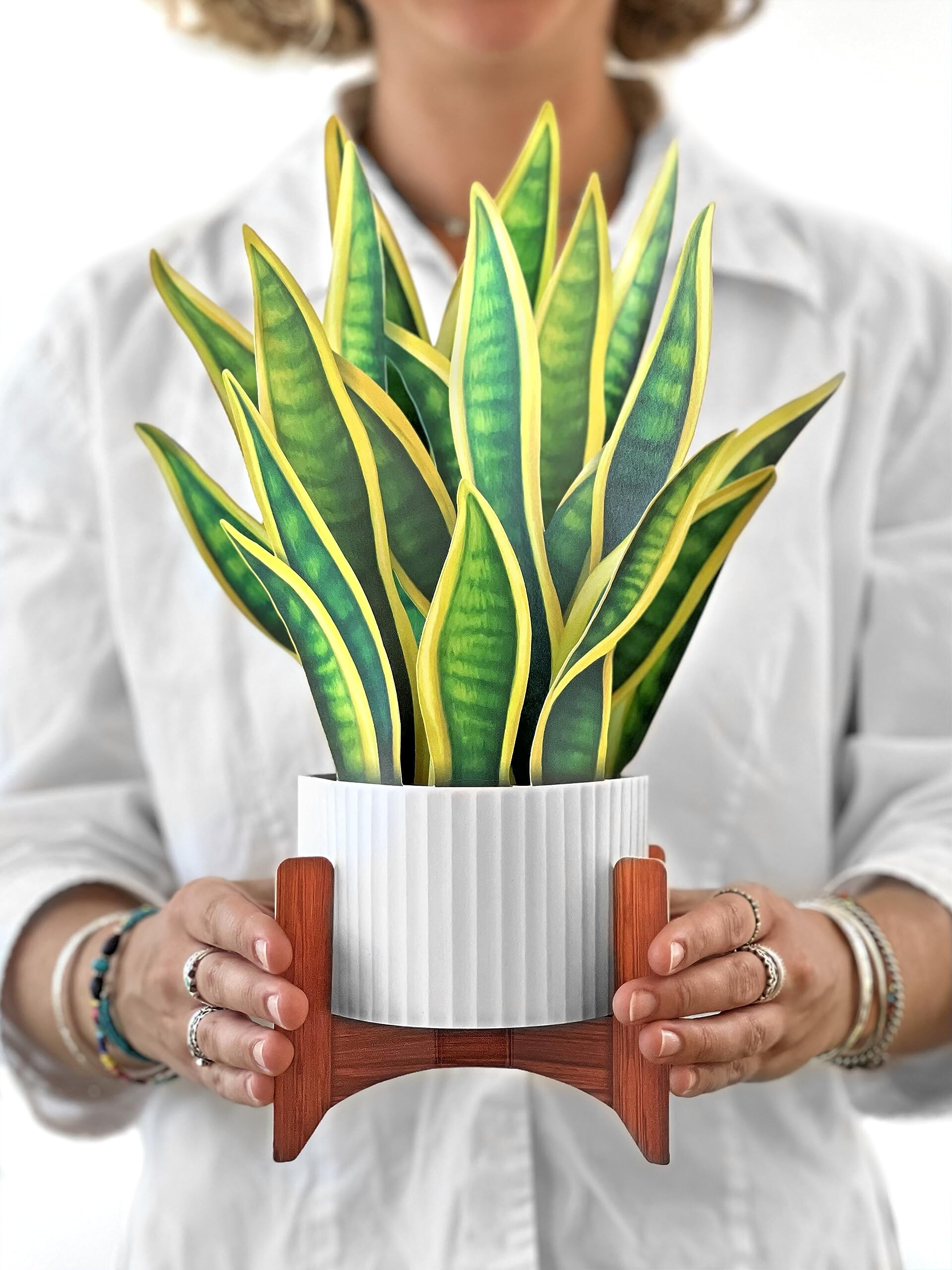 Freshcut Paper Pop Up Cards, Snake Plant, 12 inch Life Sized Forever ...