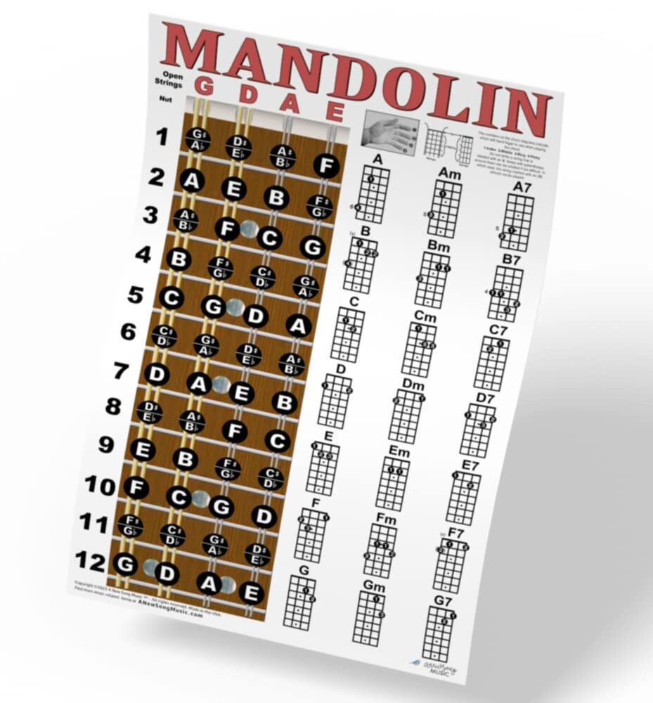 Mandolin Classic Style Easy Chord & Fretboard Note Chart Instructional ...