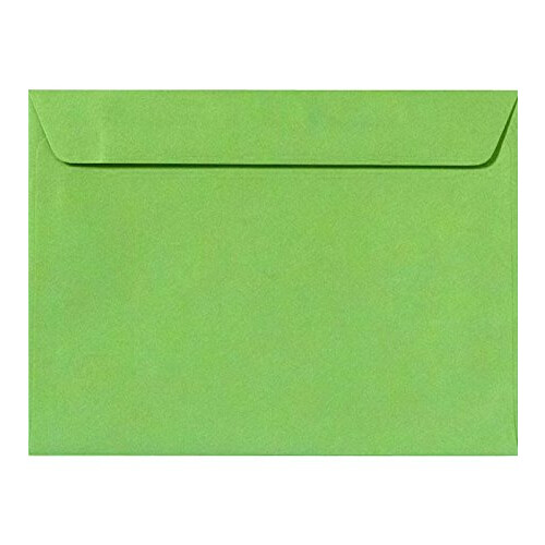 Sobres para folletos de 9 x 12 pulgadas - Limelight (cantidad de 250 ...