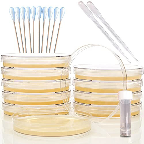 Evviva Sciences Microbiology Science Project Kit Pre-Poured Agar Plates ...