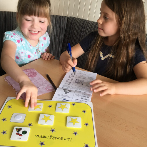 Reusable Reward Chart for Kids - Premium Durable Plastic - Autism ...