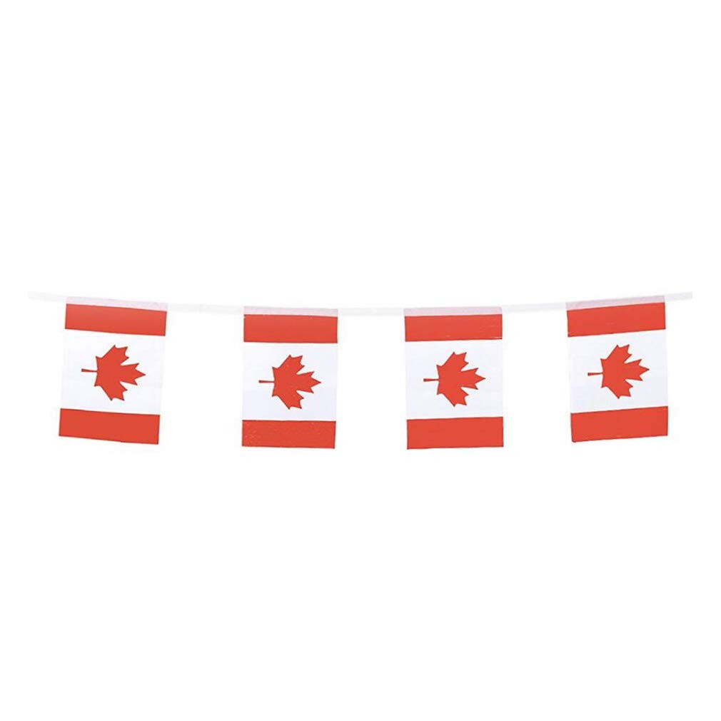 Canada Flags Canadien Small String Flag Banner Mini National Country ...