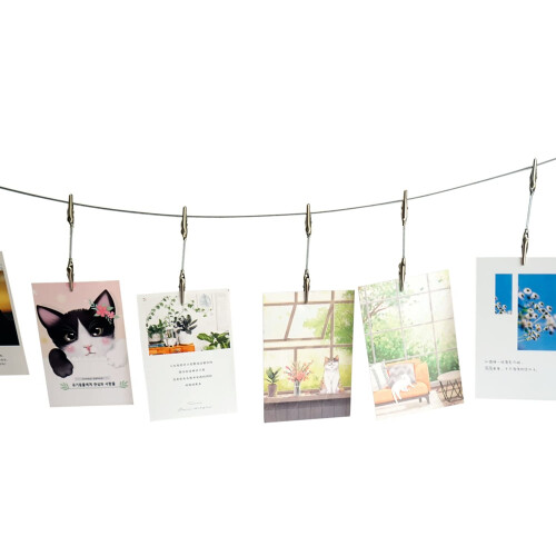 Wall Hanging Photo Display DIY Picture Photo Frame String with 12 Clips ...