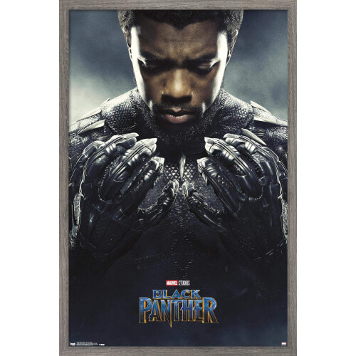 Trends International Marvel Cinematic Universe Black Panther - One ...