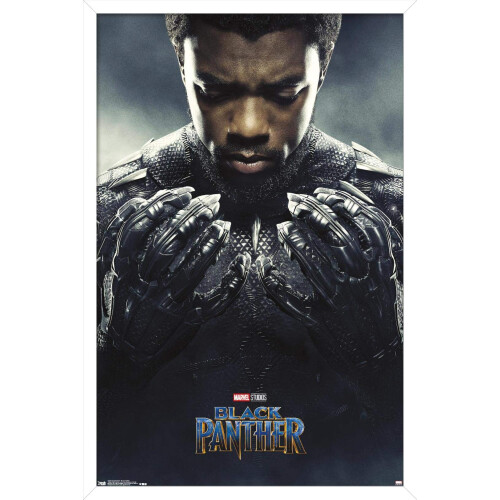 Trends International Marvel Cinematic Universe Black Panther - One ...