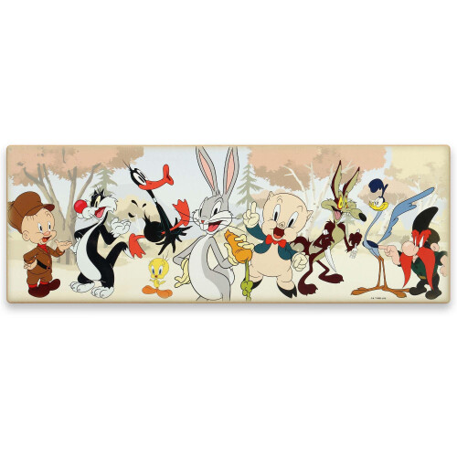 Open Road Brands Looney Tunes Character Lineup Wood Wall Decor - Large ...