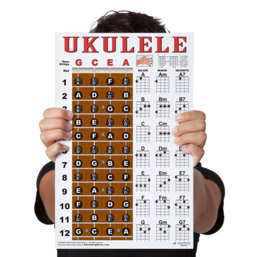 Laminated Ukulele Fretboard Notes & Easy Beginner Chord Chart 11""""x17 ...