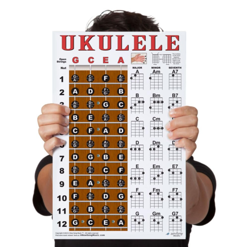 Laminated Ukulele Fretboard Notes & Easy Beginner Chord Chart 11""""x17 ...