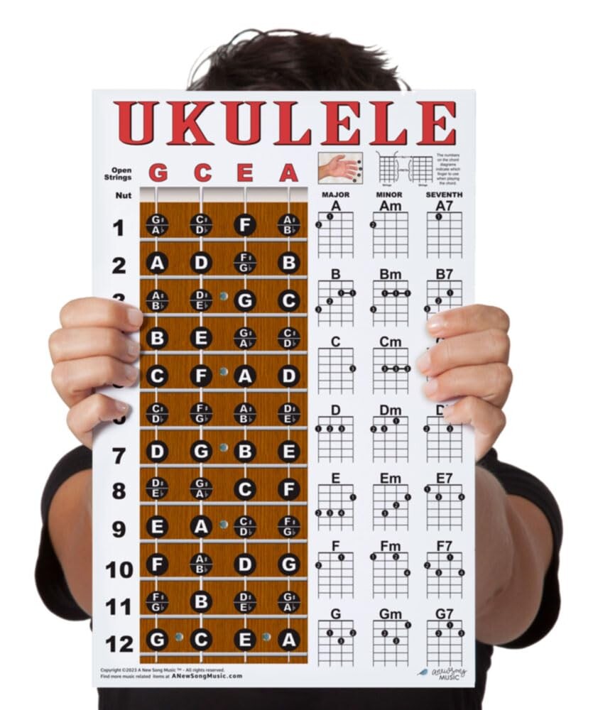 Laminated Ukulele Fretboard Notes & Easy Beginner Chord Chart 11""""x17 ...