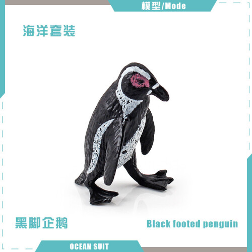 (Penguin) Premium Pvc Ocean Animal Model Set Including Sharks Turtles ...