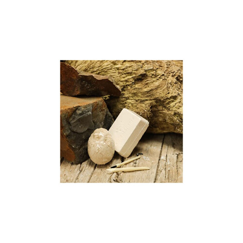 2 Pack Dinosaur Dig Out Kit, Archaeology Fossil Skeleton Excavation Set ...