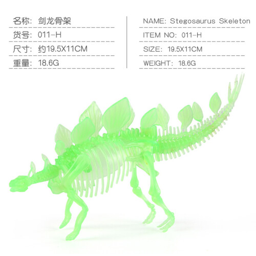 (Glow Skeleton Jian Long) Glow Classic In The Dark Dinosaur Fossil ...