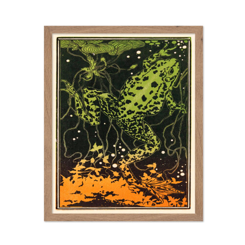 Poster Master Frog Poster - Retro Swimming Frog Print - Amphibians Art ...