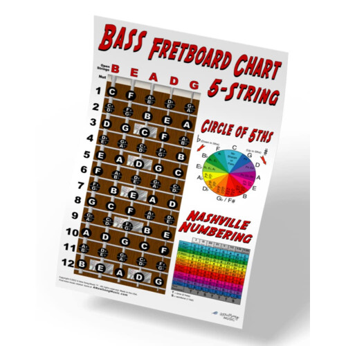 A New Song Music 5 String Bass Fretboard Poster - Nashville Numbering ...