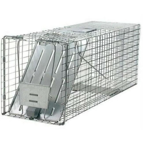 Kingfield International 130797 32 x 12 x 10 in. Live Animal Cage Trap ...