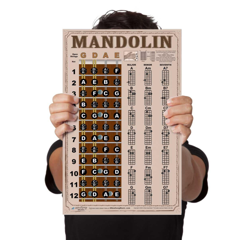 Laminated Mandolin Americana Style Easy Chord & Fretboard Note Chart ...