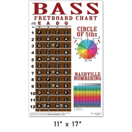 4 String Bass Instructional Chart with Fretboard Notes Poster ...