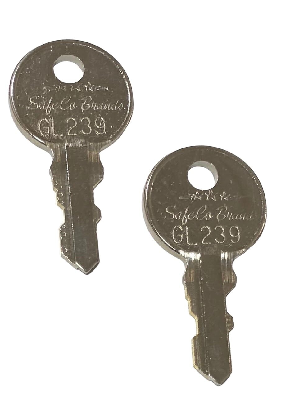 Replacement Keys for Stack-On Safes & Boxes for Key Codes GL200-GL249 2 ...