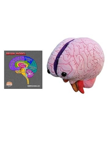 GIANTmicrobes Brain Model Human Brain Anatomy Model Brain Model for ...