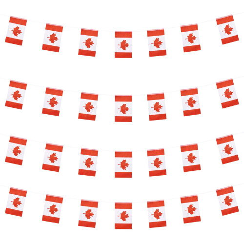 WXTWK Canada Flags Canadian Small Mini Pennant String Banner Flag ...