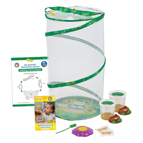 Pabell n de Mariposas Insect Lore: H bitat del Pabell n y Dos Tazas de ...