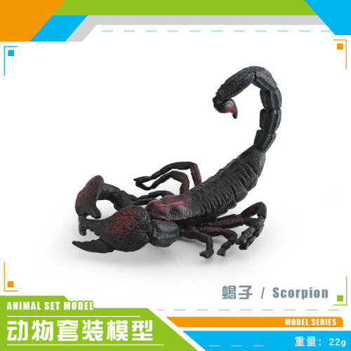 (Scorpion) And Vibrant Detailed Plastic Forest Animal Models Featuring ...