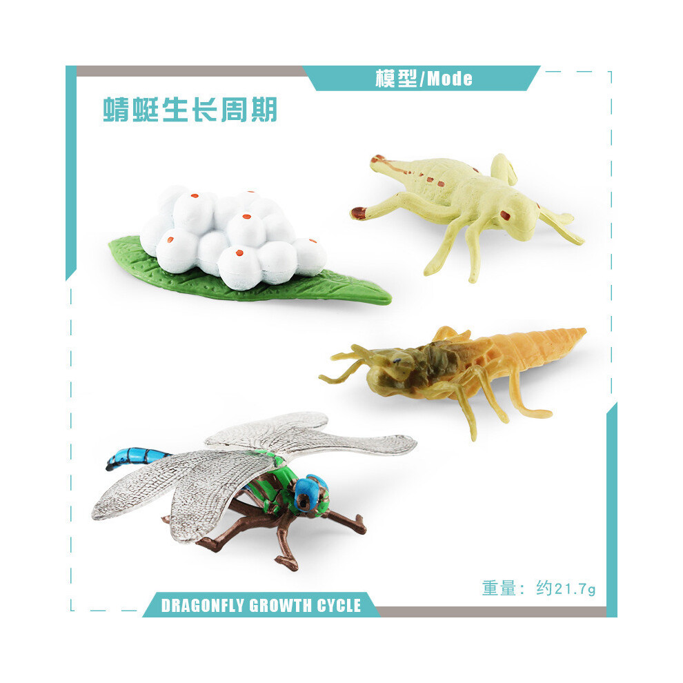 (Dragonfly Cycle) Pvc Detailed Insect And Animal Model Toys Snail ...