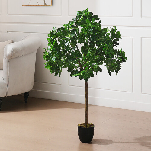 122cm Artificial Schefflera Arboricola Tree in Black Pot on OnBuy