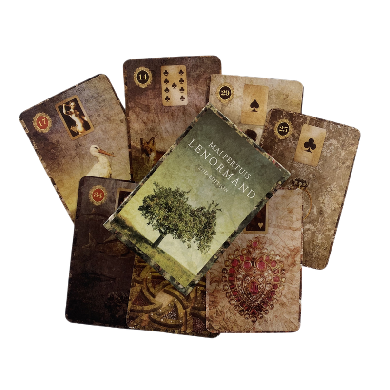 (MTS18) Wild Child Oracle Cards Tarot Divination Deck English Vision ...