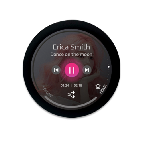 ESP32-C3 Entwicklungsboard 1,28 Zoll runder LCD-Touchscreen mit WLAN ...