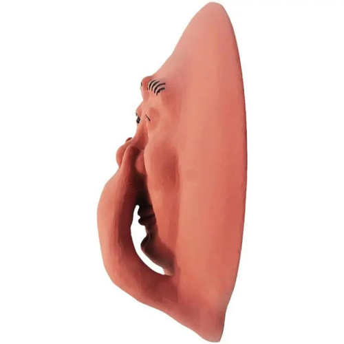 Funny Bathroom Humorous Smelly Face Wall Decor Resin Statue,1Pcs on OnBuy