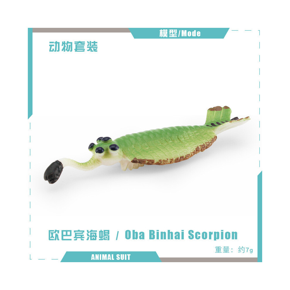 (Obabin 7g) Detailed Static Pvc Model Of Cambrian Sea Animals Including ...