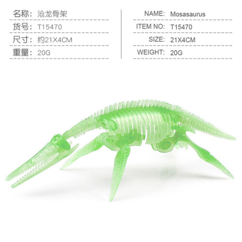 (Glow Skeleton Cang Long) In Classic Glow The Dark Dinosaur Fossil ...