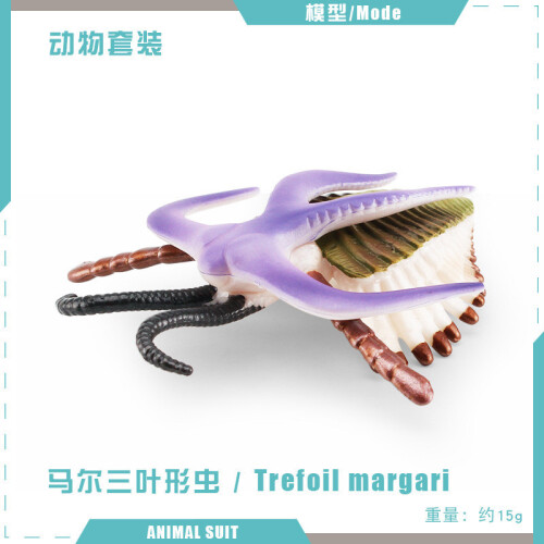 (Marlin 15g) Detailed Static Pvc Model Of Cambrian Sea Animals ...