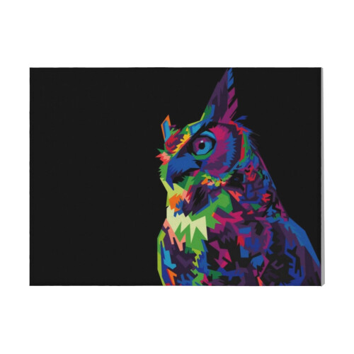 (Colorful Owl Illustration=2544) Canvas Print Pop Art Framed DIY ...